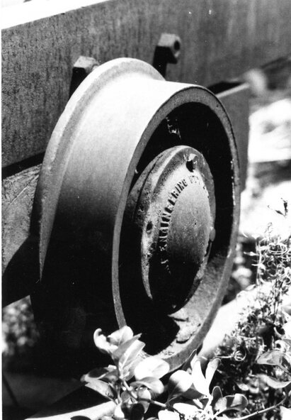 Photograph - Photograph Collection, Alison Lendoudis et al, Transfer ...