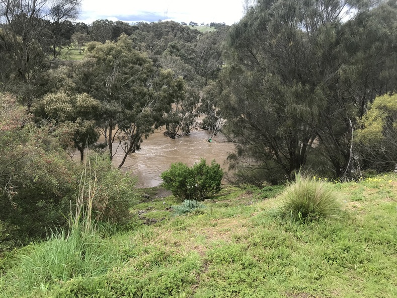 Photograph - Maribyrnong River Flood 2022 Photographs, John Alchin, 2022