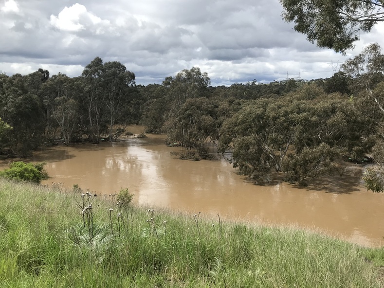 Photograph - Maribyrnong River Flood 2022 Photographs, John Alchin, 2022