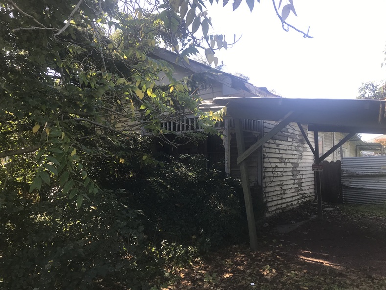 Photograph - Sunshine Photographs 2023 Part 1, John Alchin, 2023