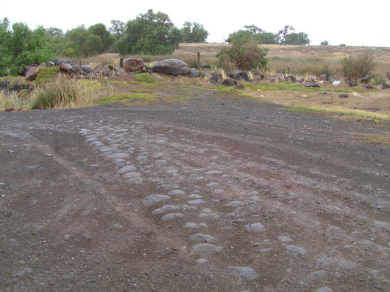 Photograph - Beattys Road Bridge Rockbank Photographs, John Alchin, 2008