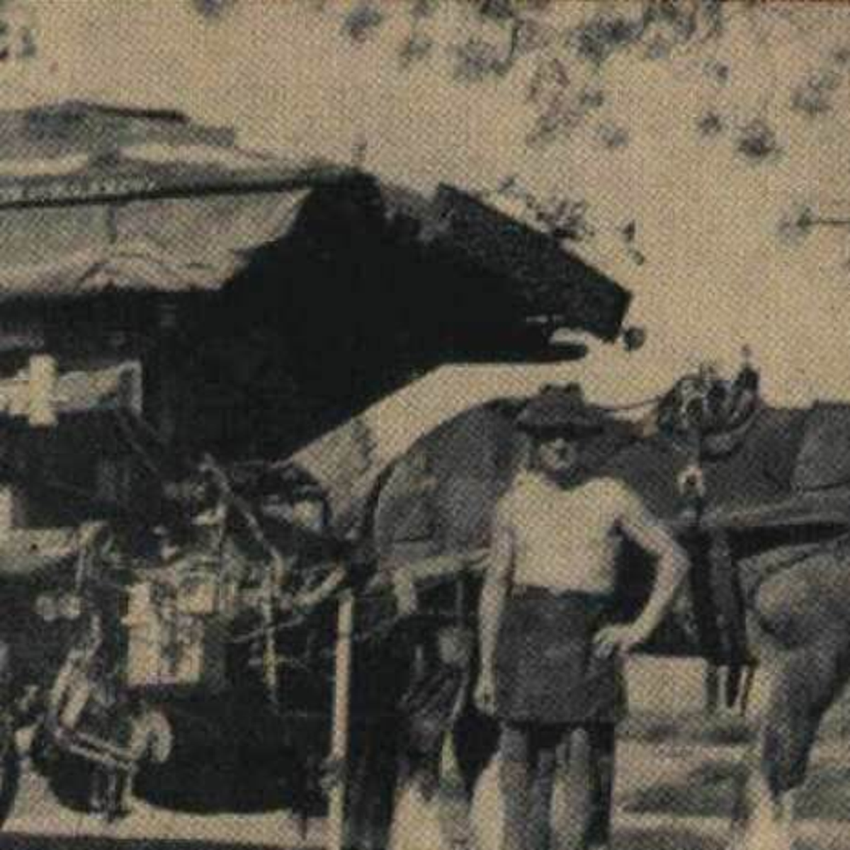 Granya Pioneer Museum - Victorian Collections